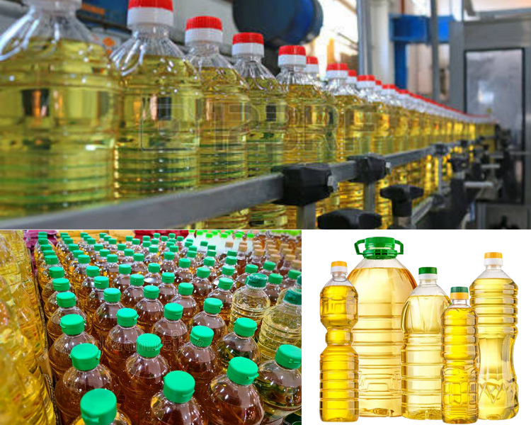 Leading Packaging Machine Manufacturer and Supplier Company